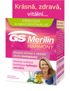 Proč GS Merilin - Merilin