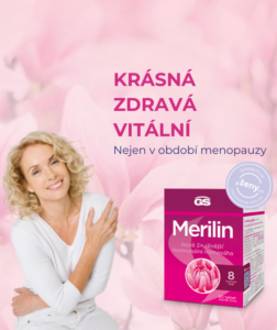 Úvod - Merilin